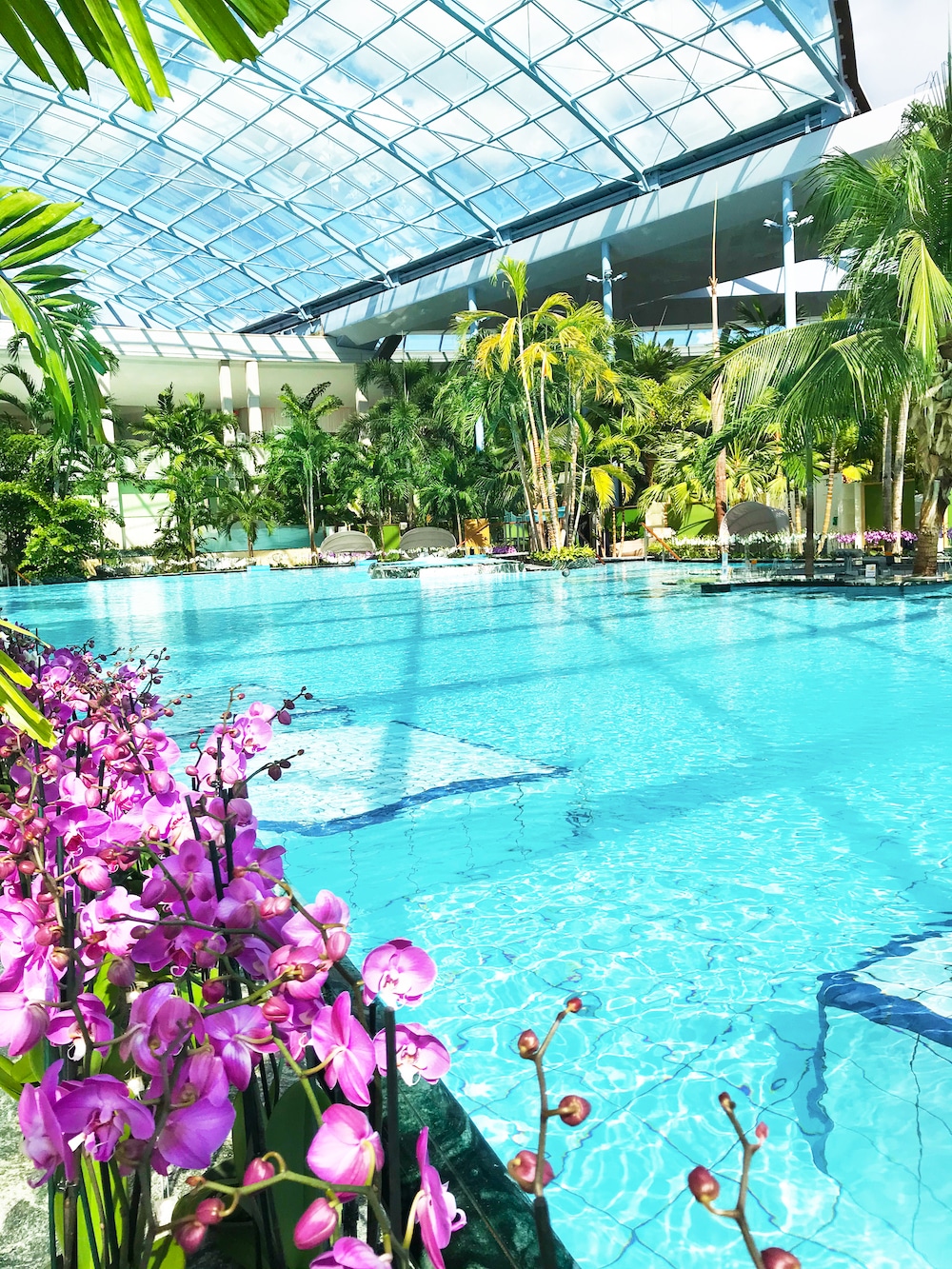 Thermen & Badewelt Sinsheim - Deals & Infos | Freizeitpark Erlebnis