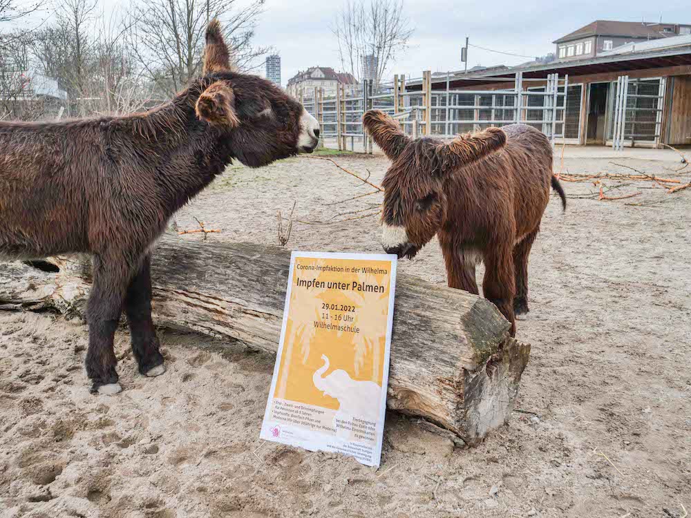 Wilhelma Zoologisch-Botanischer Garten Stuttgart - Deals & Infos ...