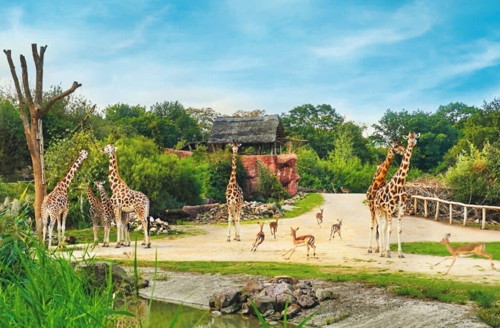 Zoom Erlebniswelt Günstige Tickets